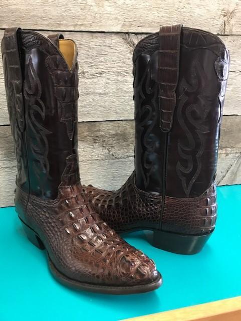 Horn Back Brown Gator "Got Gator Collection" 4102
